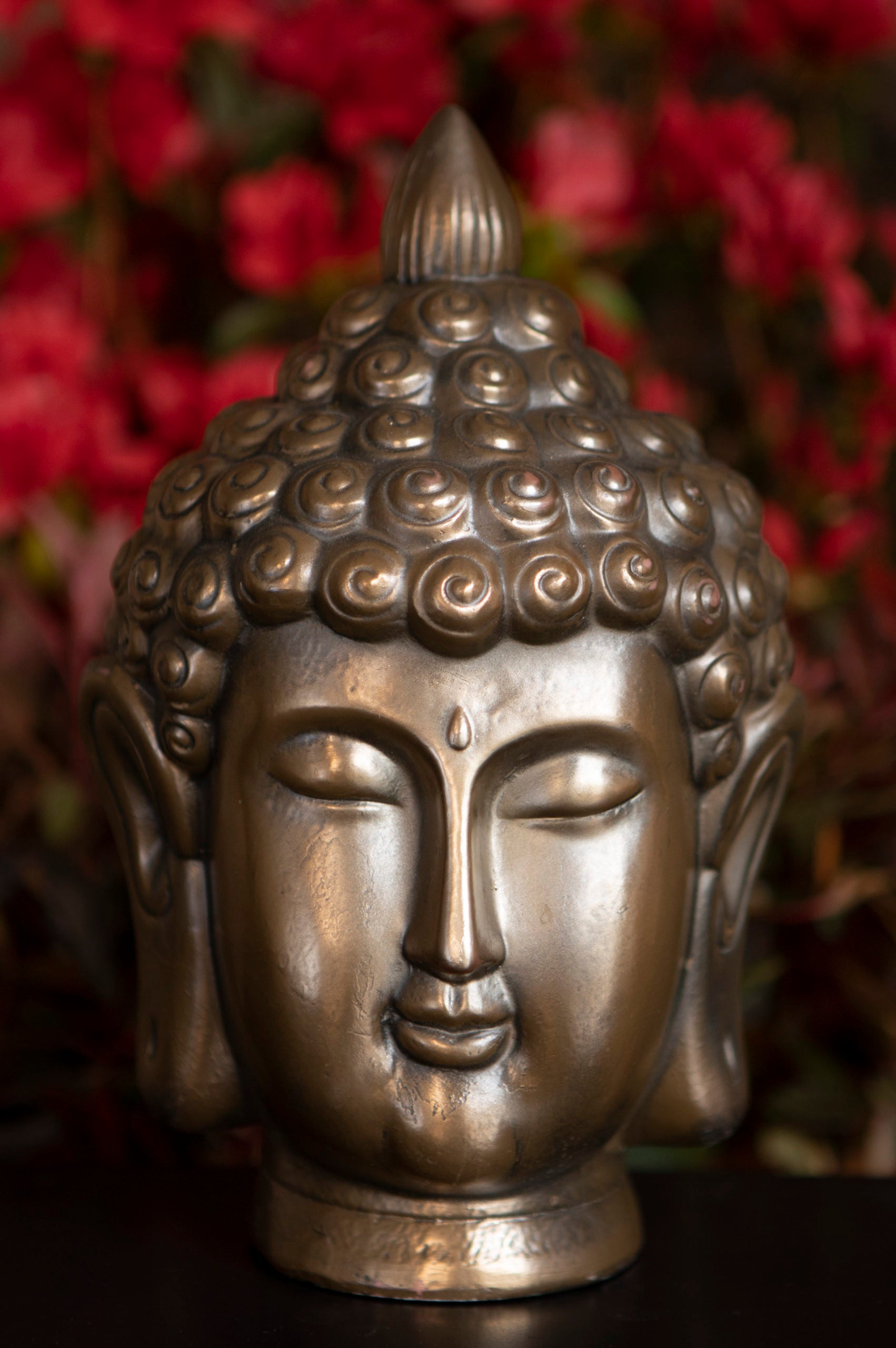 Home | Papillon Living